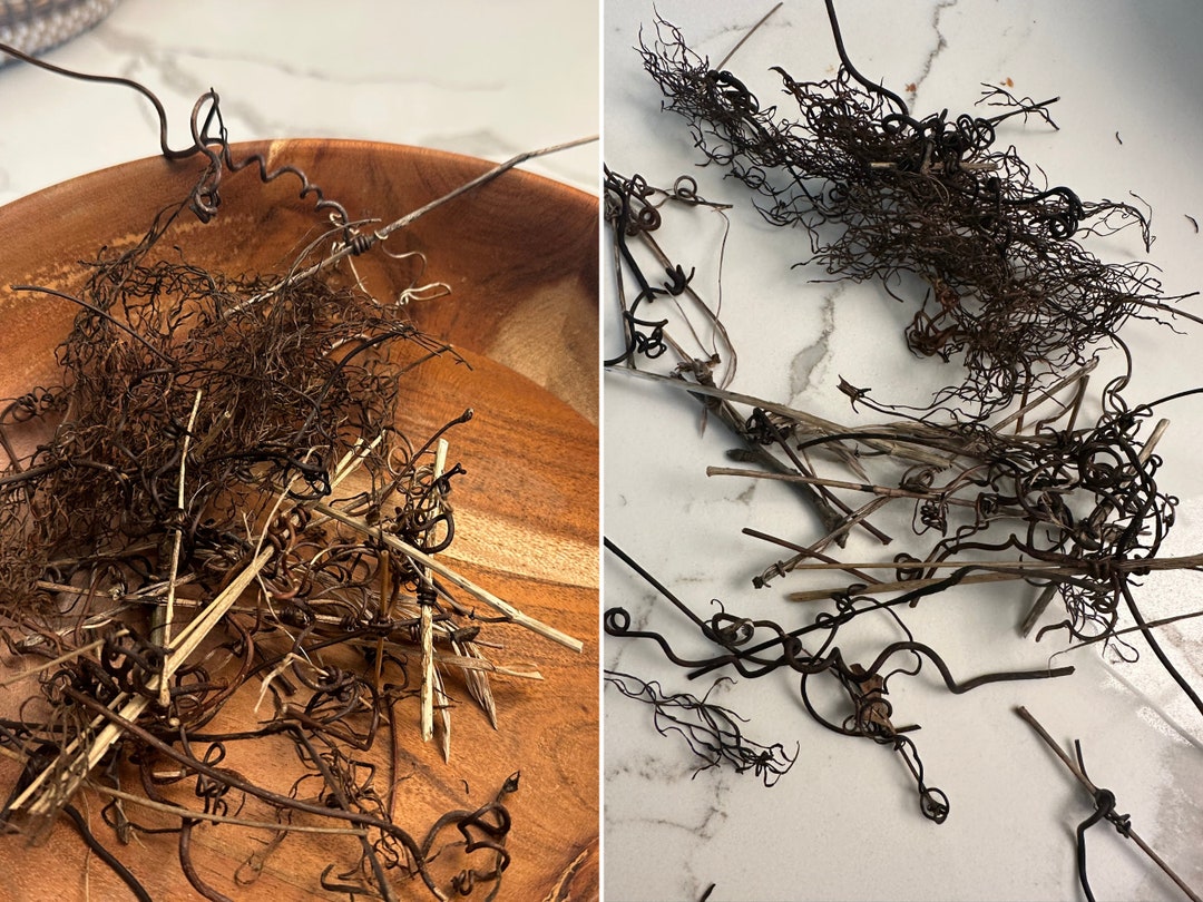 30 Grapevine Tendrils With BONUS Dried Plant Material Dried - Etsy