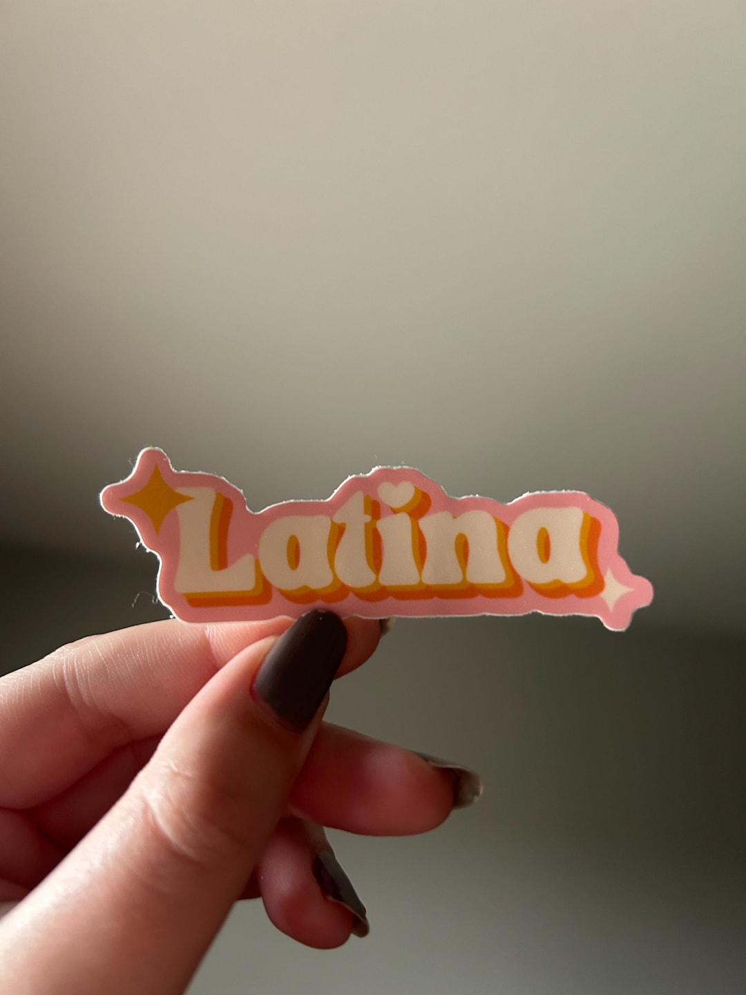 Pink “latina” Sticker, Latina Waterbottle Decals, Empowerment, Vintage ...