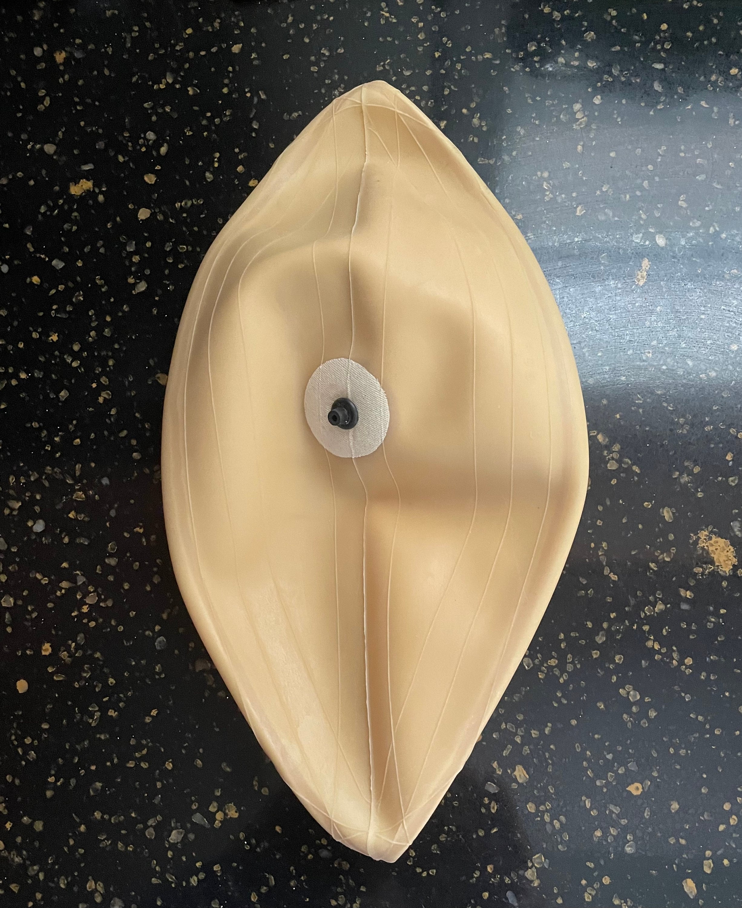 Football Bladder Repair Kit: NFL NCAA CFL Bladder Replacement - Etsy