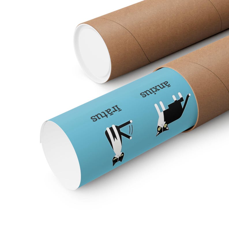 Cat and Emotions in Latin, Classroom Art, Learning Latin, Ancient Rome ...