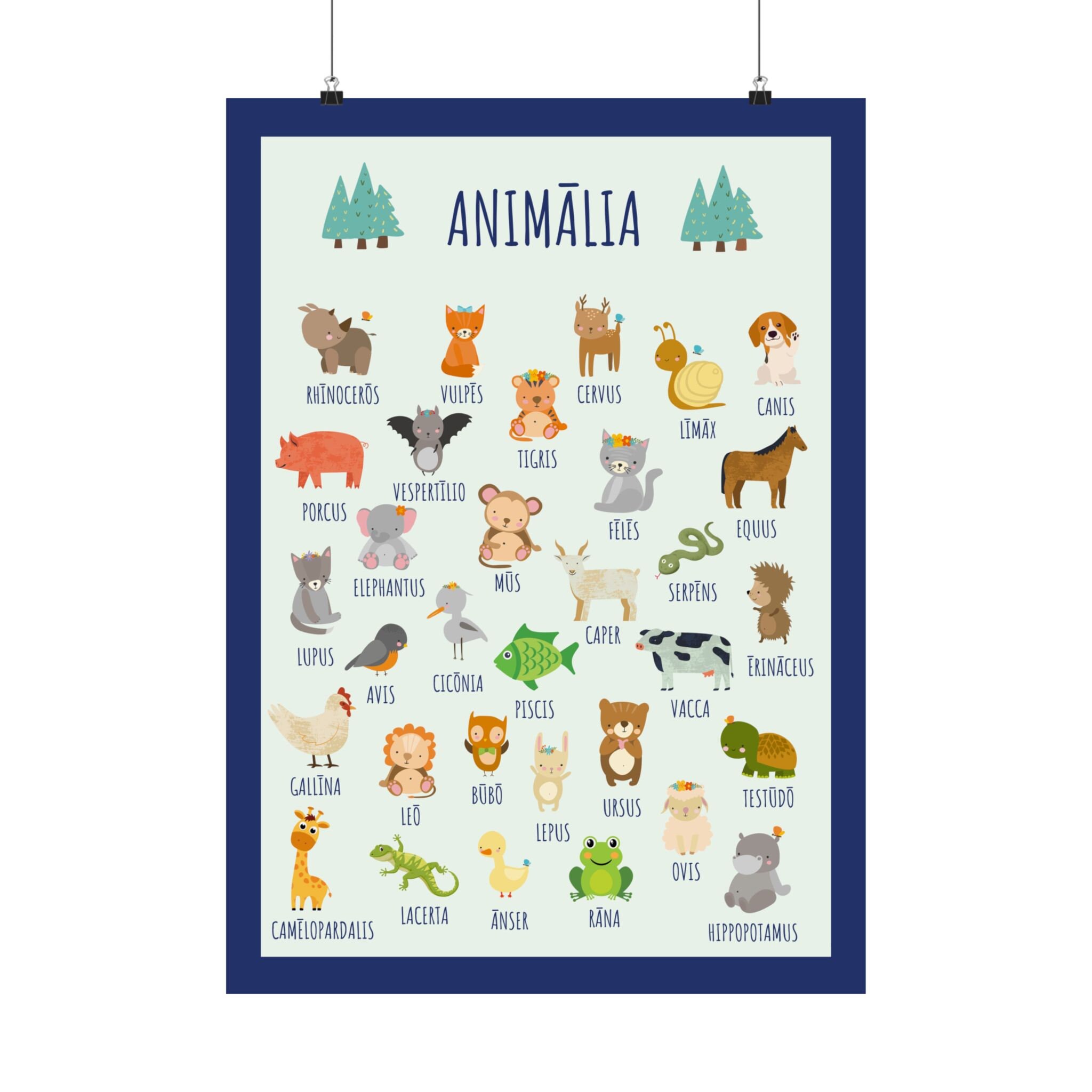 Animals in Latin Poster, Classroom Art, Learning Latin, Ancient Rome ...