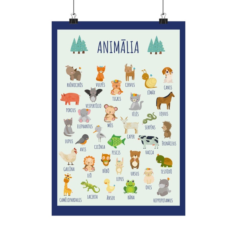 Animals in Latin Poster, Classroom Art, Learning Latin, Ancient Rome ...
