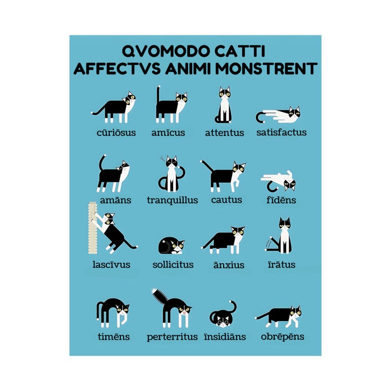 Latin Cat Emotions Poster: Classroom Art, Ancient Rome - Etsy