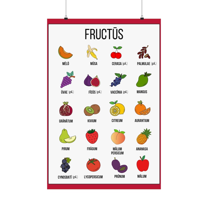 Fruits in Latin Poster, Classroom Art, Learning Latin, Ancient Rome ...