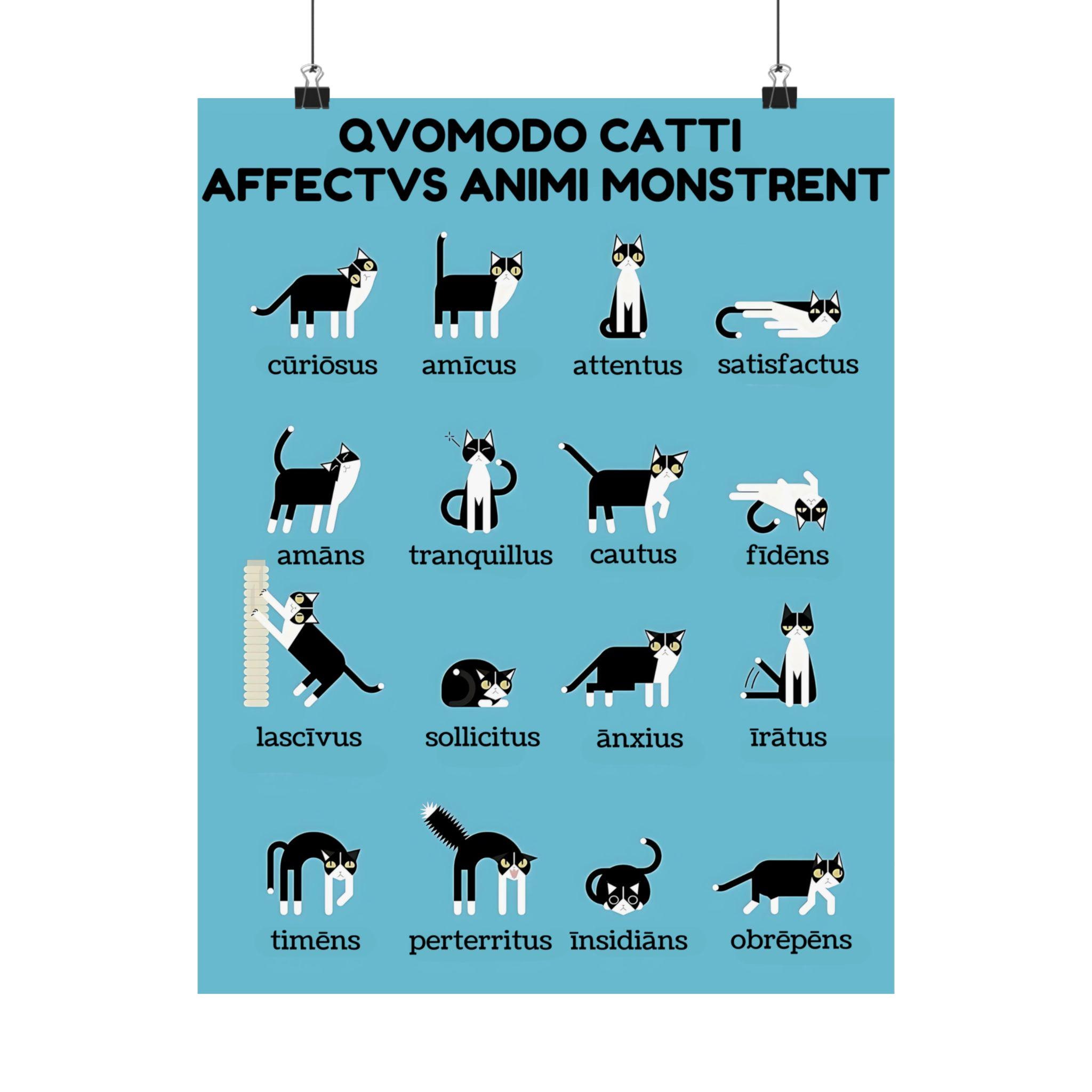 Latin Cat Emotions Poster: Classroom Art, Ancient Rome - Etsy