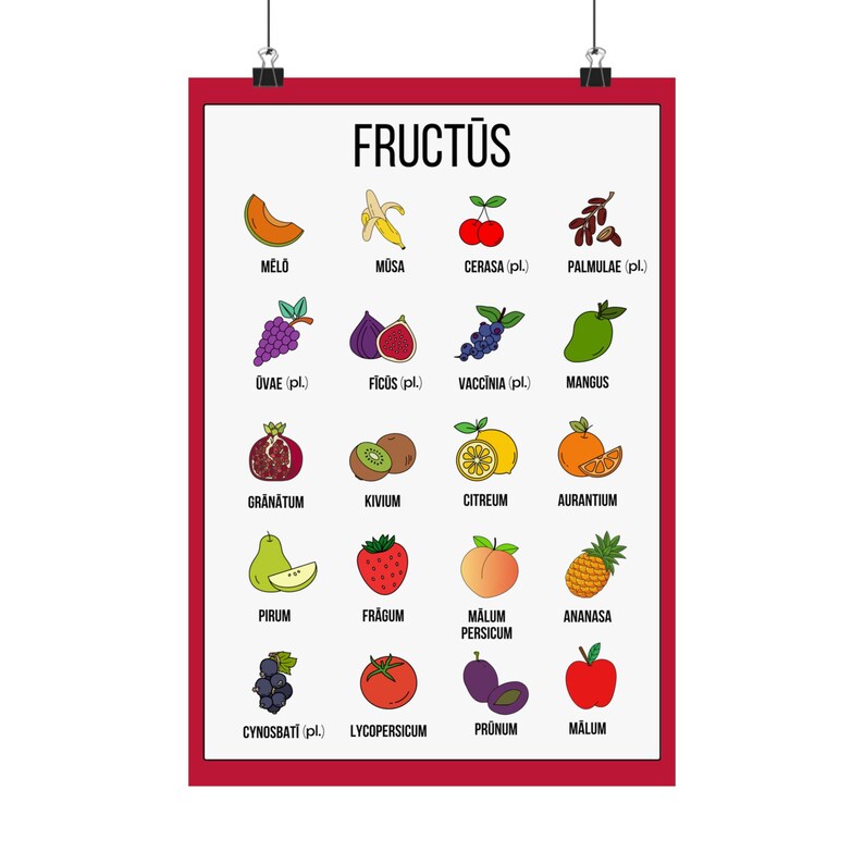 Fruits in Latin Poster, Classroom Art, Learning Latin, Ancient Rome ...