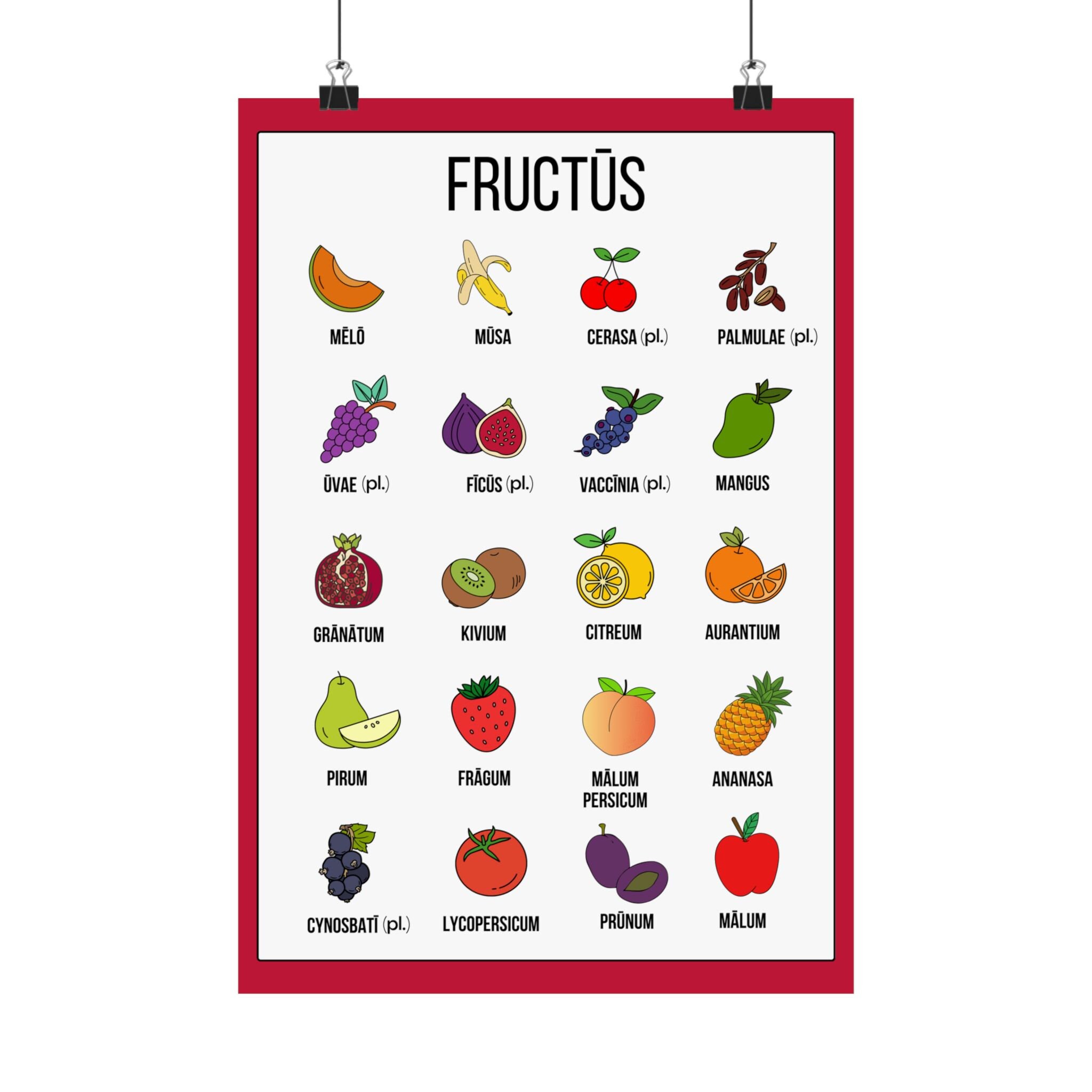 Fruits in Latin Poster, Classroom Art, Learning Latin, Ancient Rome ...