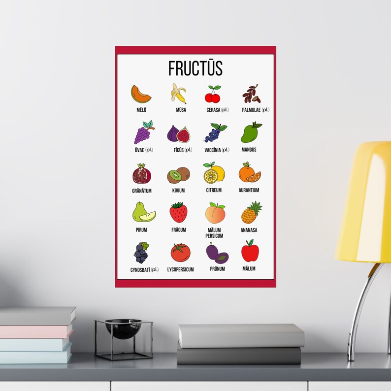 Fruits in Latin Poster, Classroom Art, Learning Latin, Ancient Rome ...