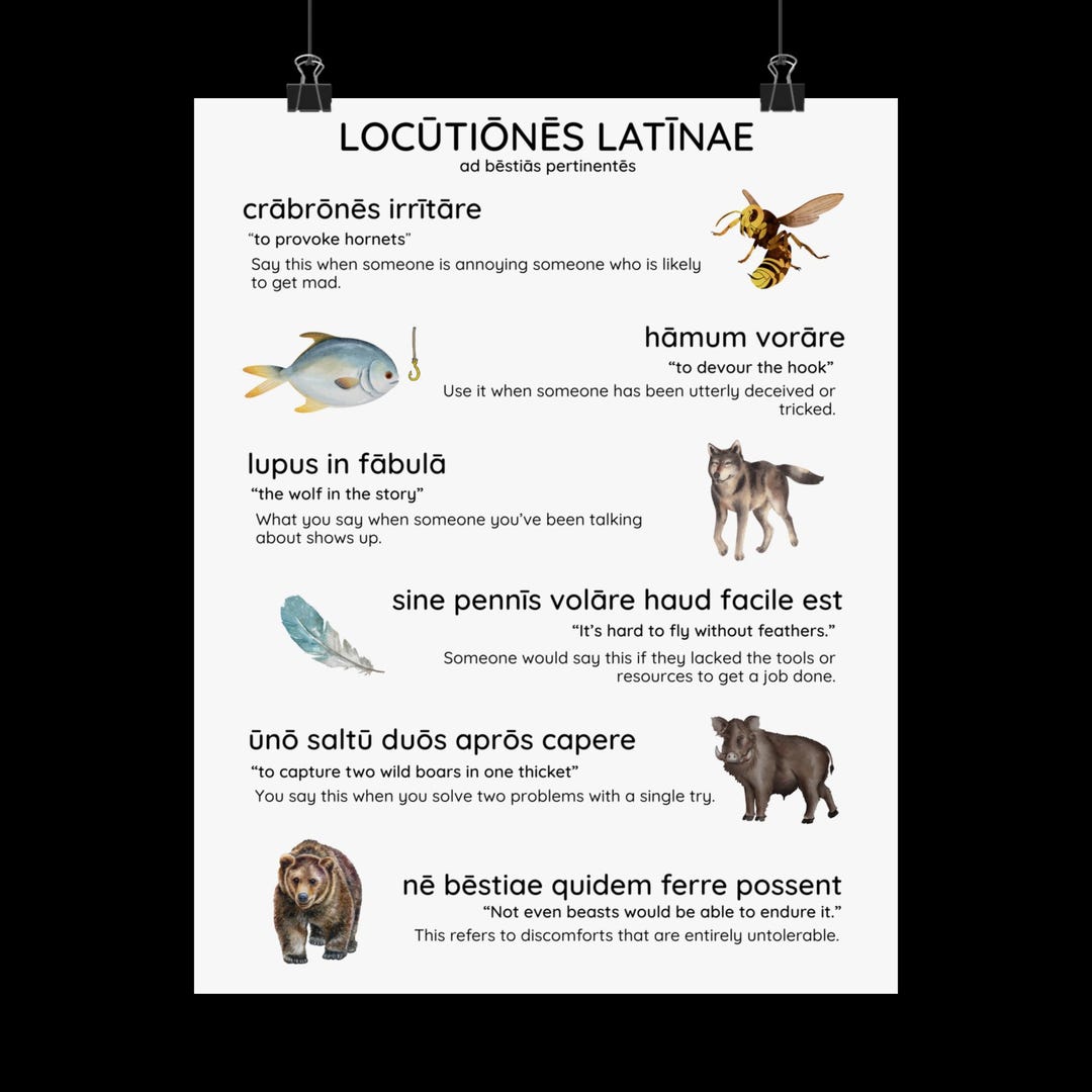 Latin Proverbs Animal Poster: Ancient Rome Classroom Decor - Etsy