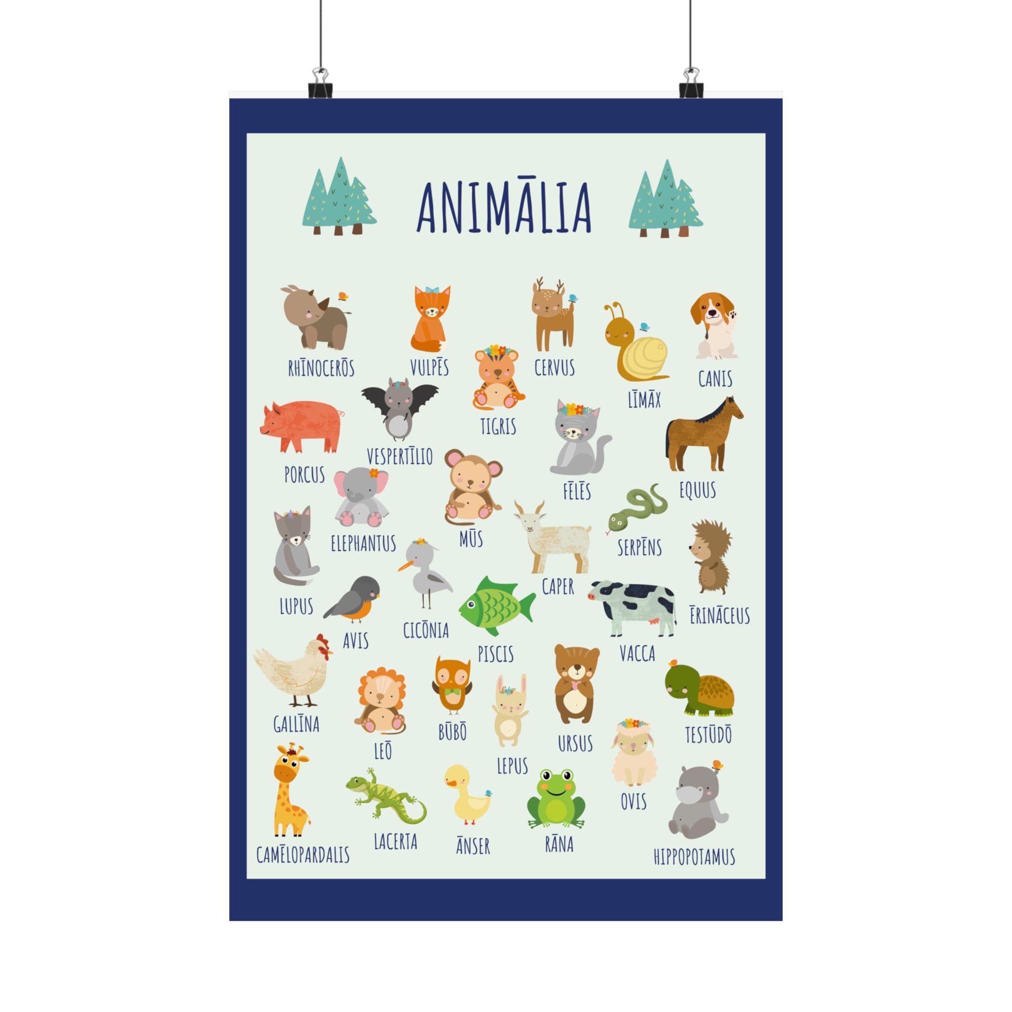 Animals in Latin Poster, Classroom Art, Learning Latin, Ancient Rome ...