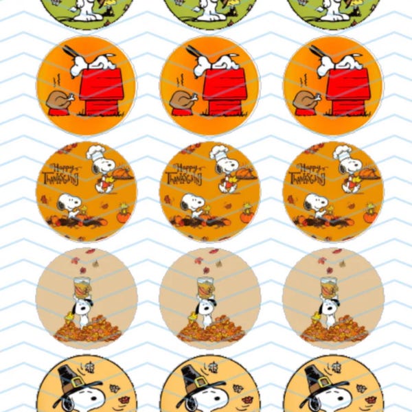 Snoopy Thanksgiving Decorations - Etsy