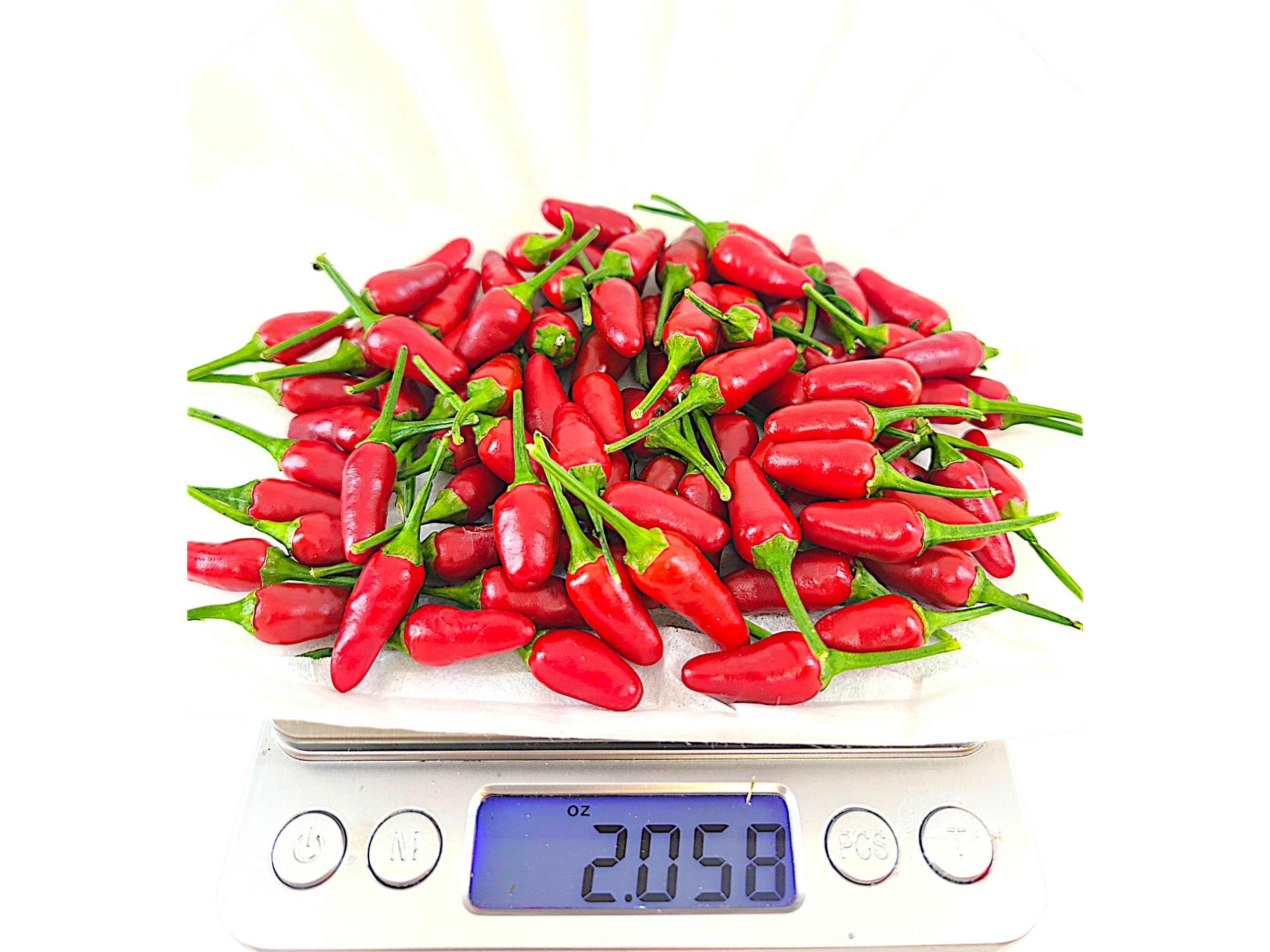 Fresh Thai Dragon Chili Peppers 2 Oz Hot Peppers Freshly Picked - Etsy