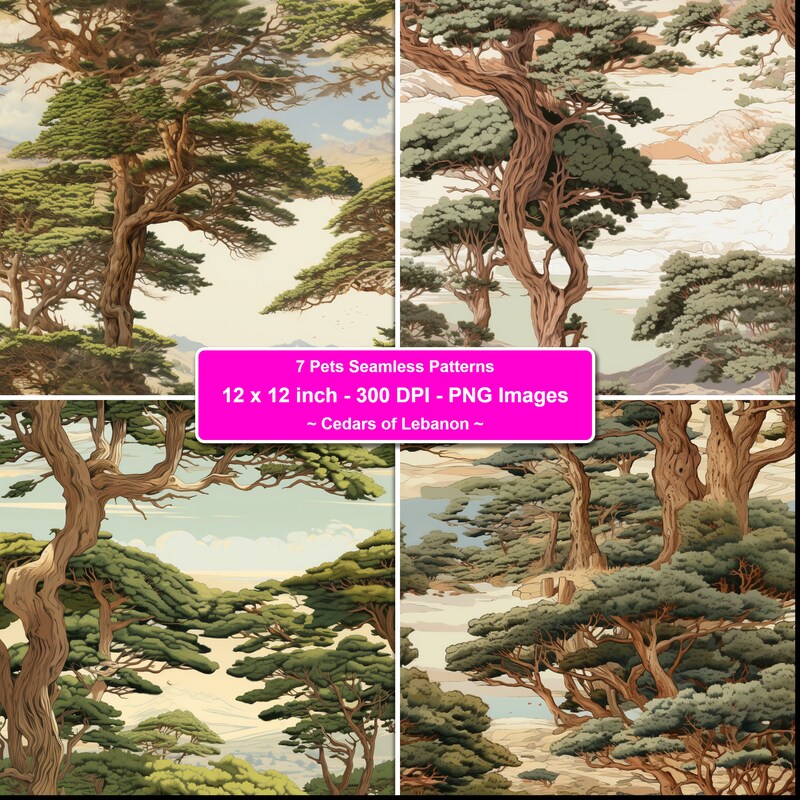 Cedar of Lebanon - Etsy