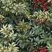 Seamless Yew Tree Pattern Design for Home Decor and Fashion Instant ...