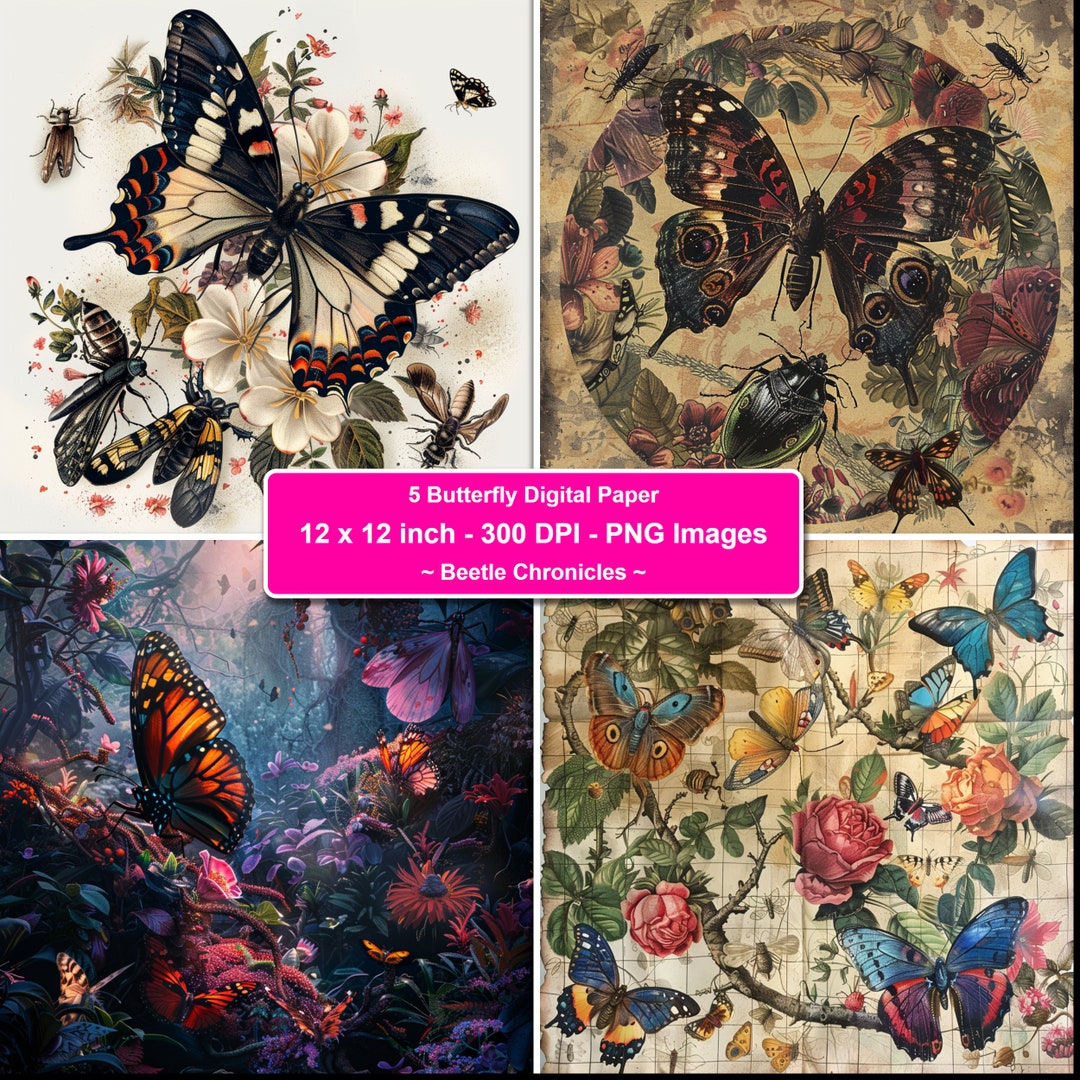 This item is unavailable - Etsy