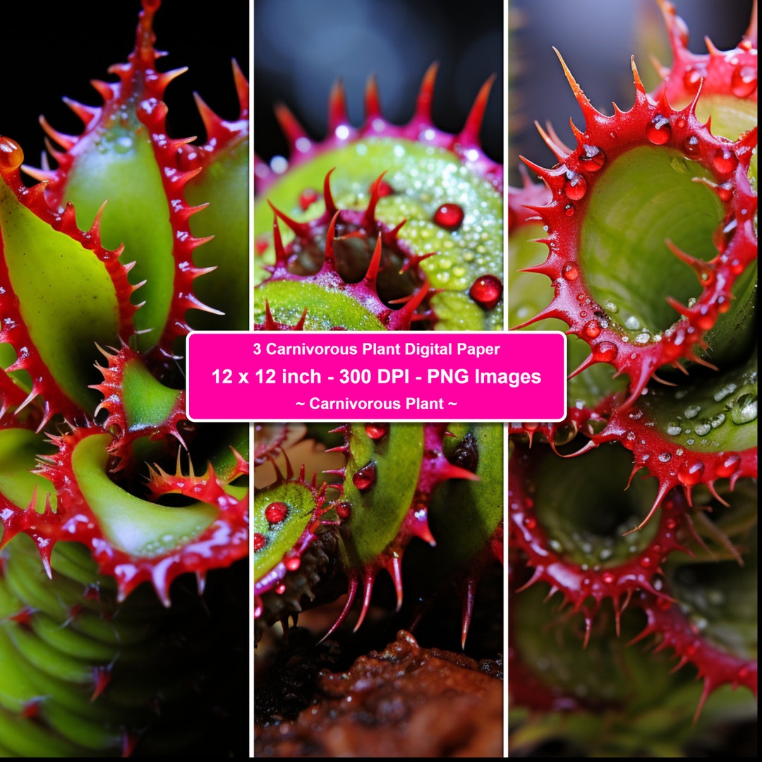 Carnivorous Plant Digital Paper Vivid Venus Flytrap Design High-quality ...