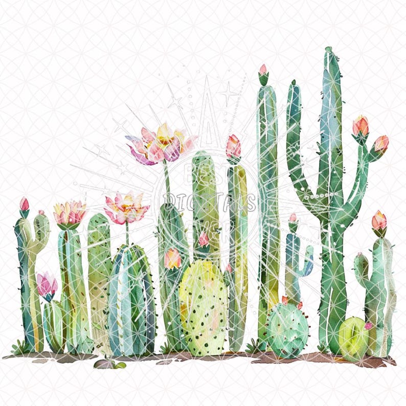 Cactus Party Invitation Design Border Cactus Flower Desert Flowers ...