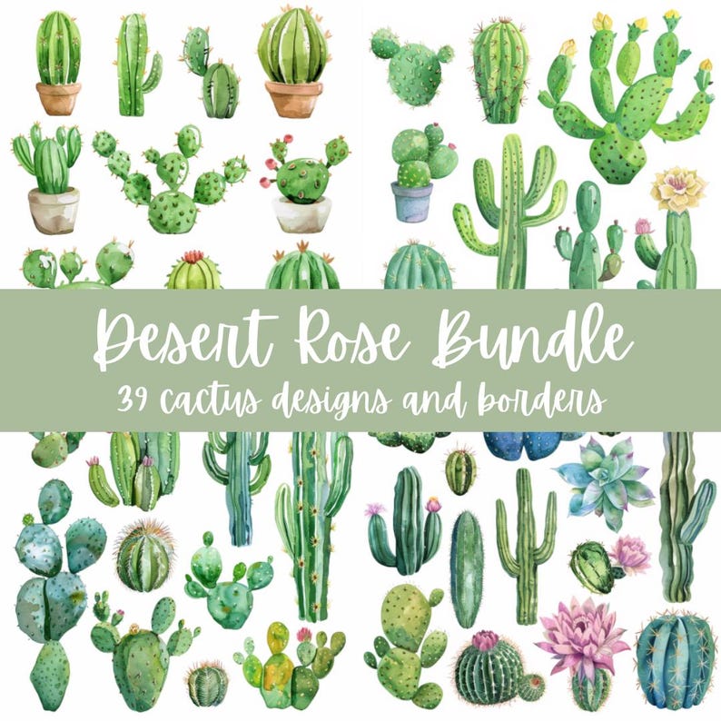 Cactus Party Invitation Design Border Cactus Flower Desert Flowers ...