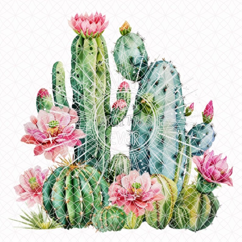 Cactus Party Invitation Design Border Cactus Flower Desert Flowers ...