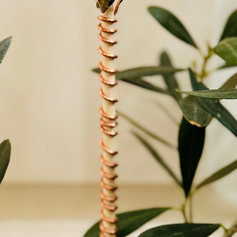 Electroculture Rod - Etsy