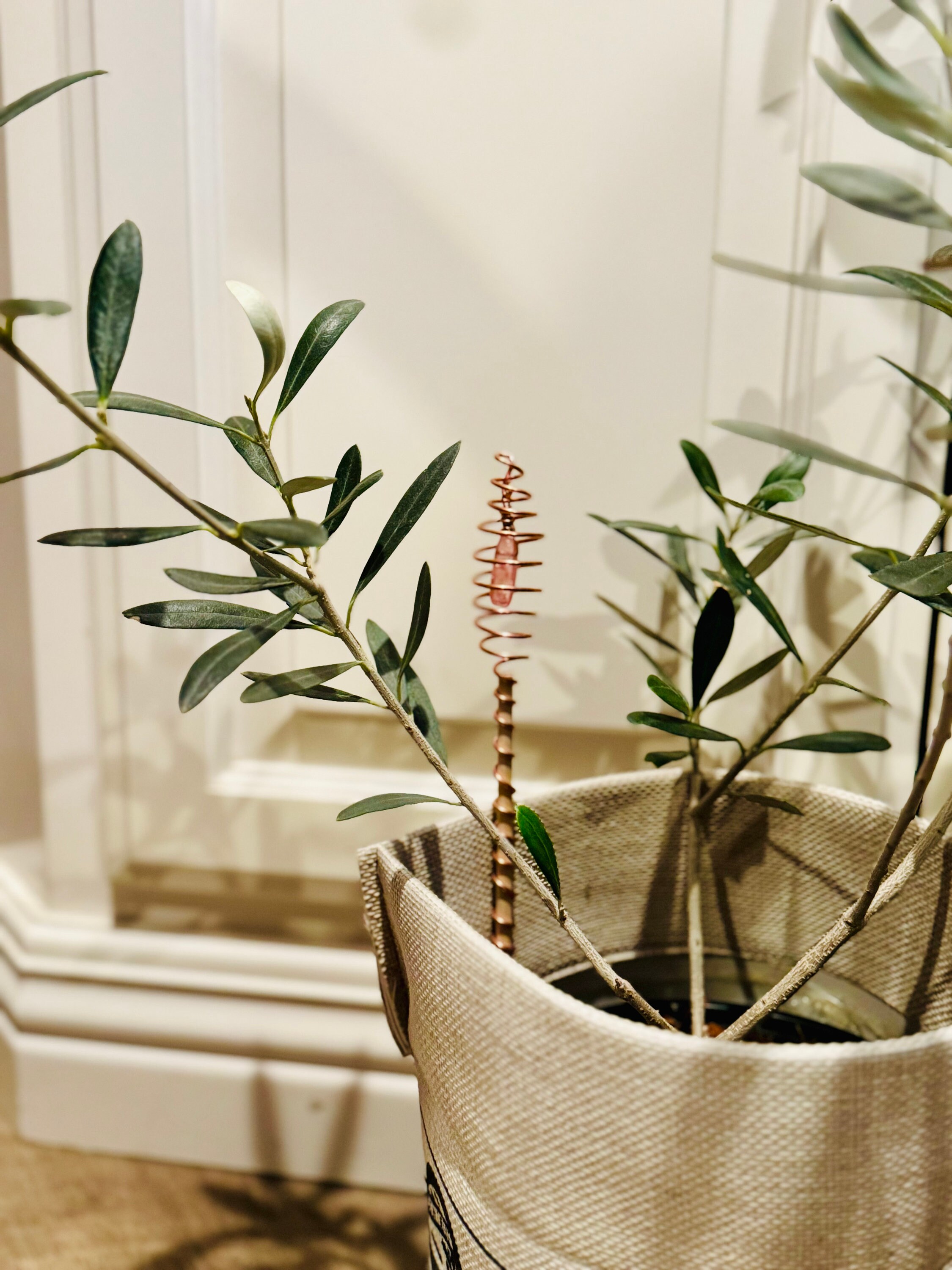 Electro Culture Pure Copper Rods - Etsy