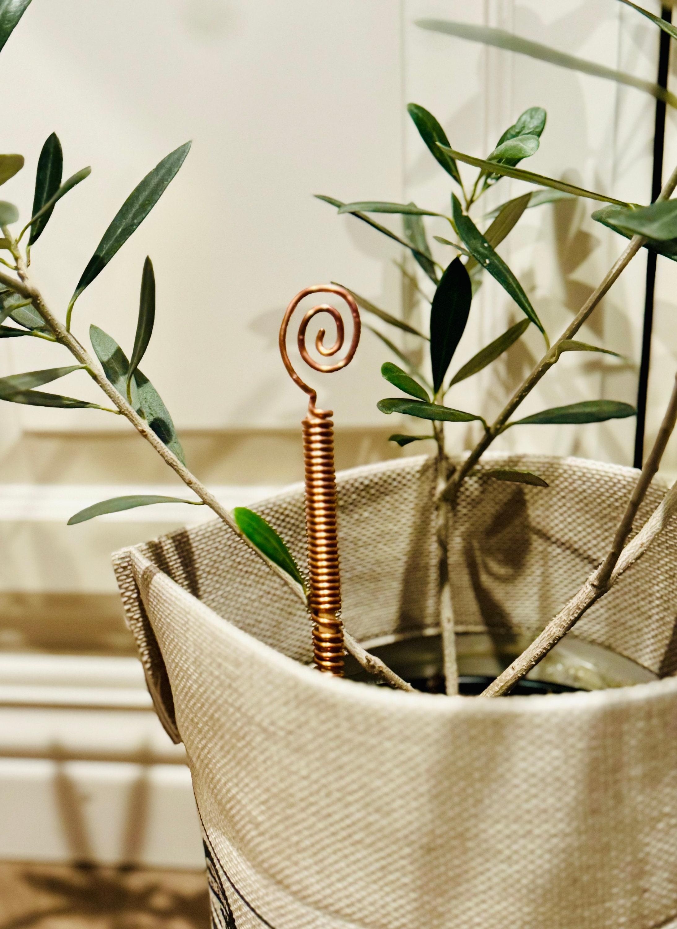 Pure Copper Spiral Rod - Electro Culture - Etsy