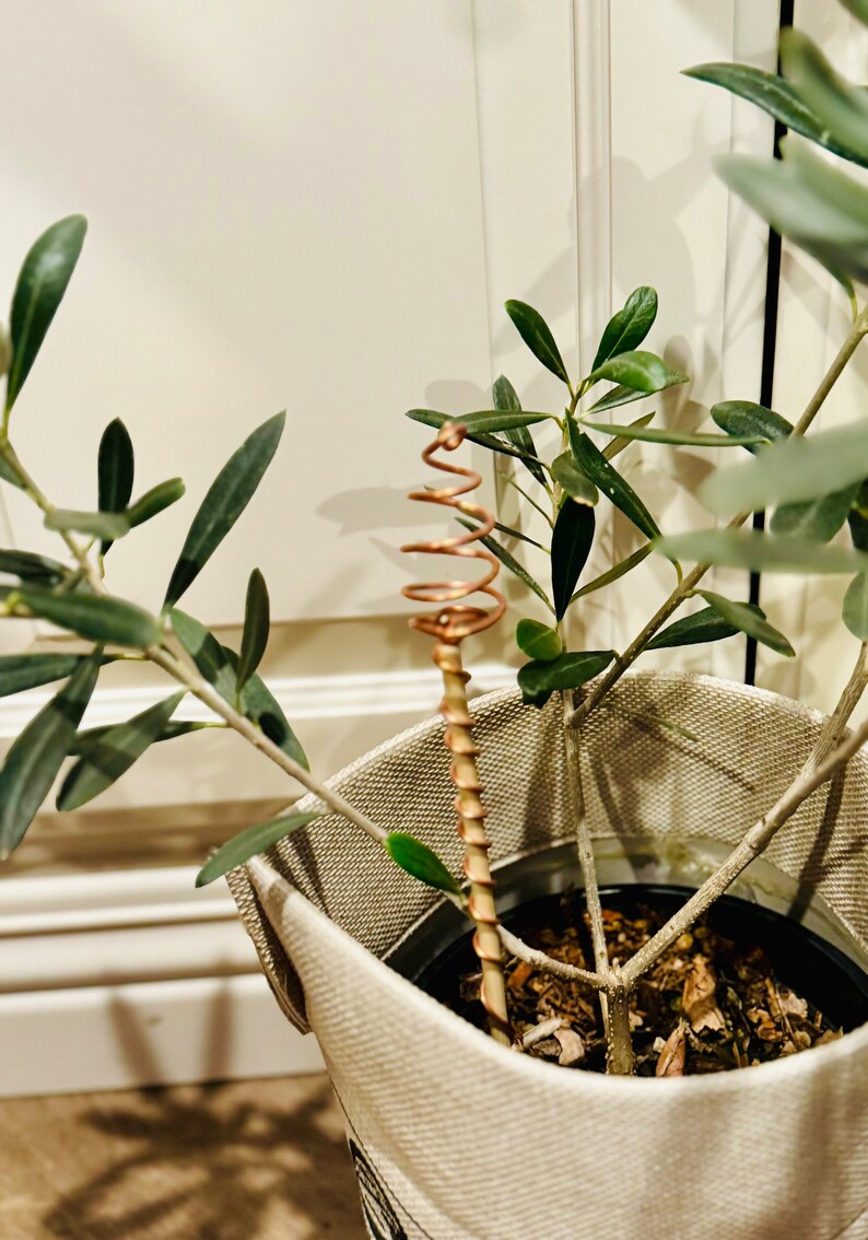 Electro Culture Pure Copper Rod - Etsy