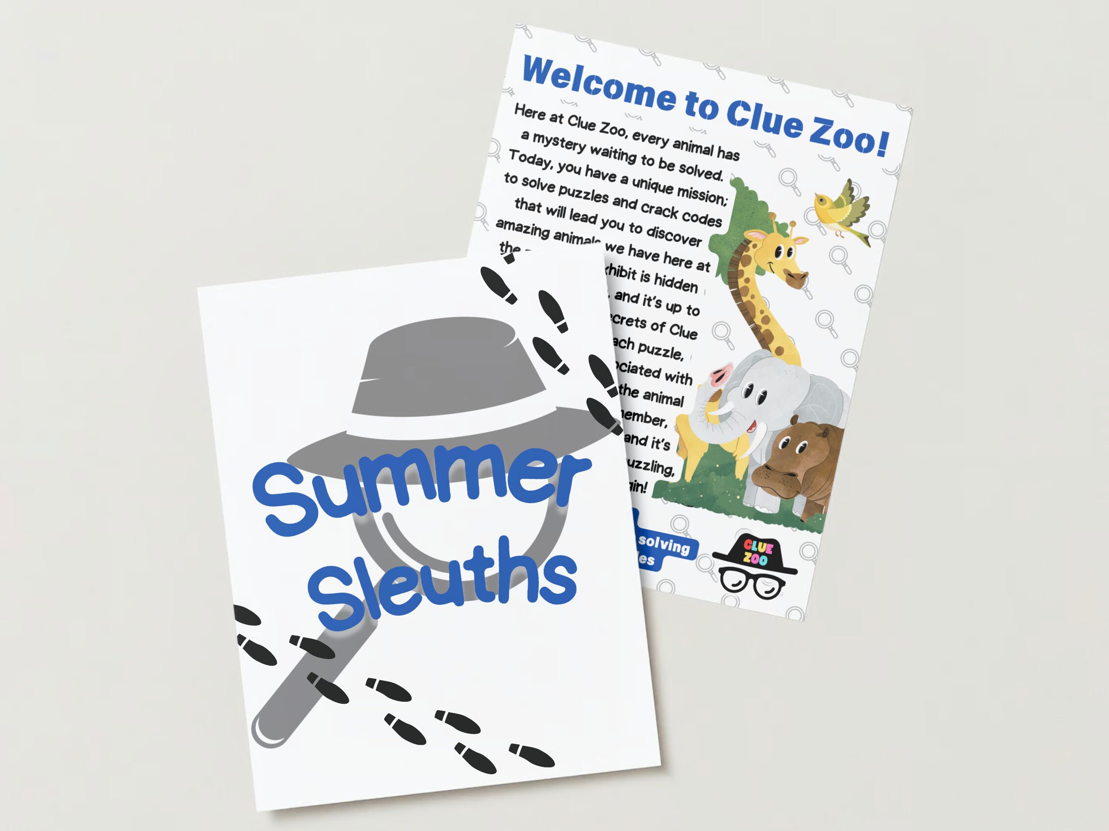 Printable Codes and Clues for Kids, Animal Facts, Solve the Mystery! - Etsy