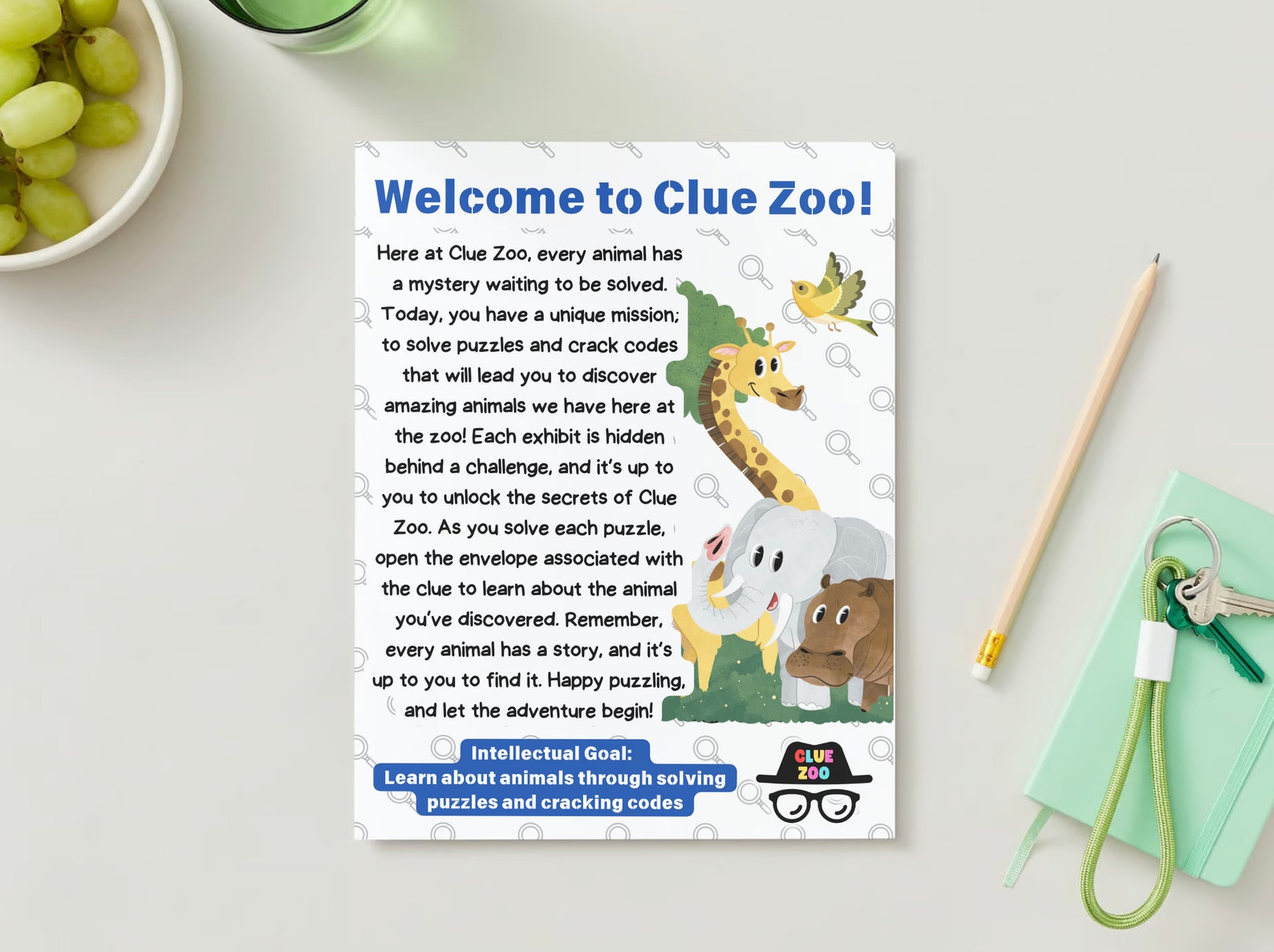 Printable Codes and Clues for Kids, Animal Facts, Solve the Mystery ...