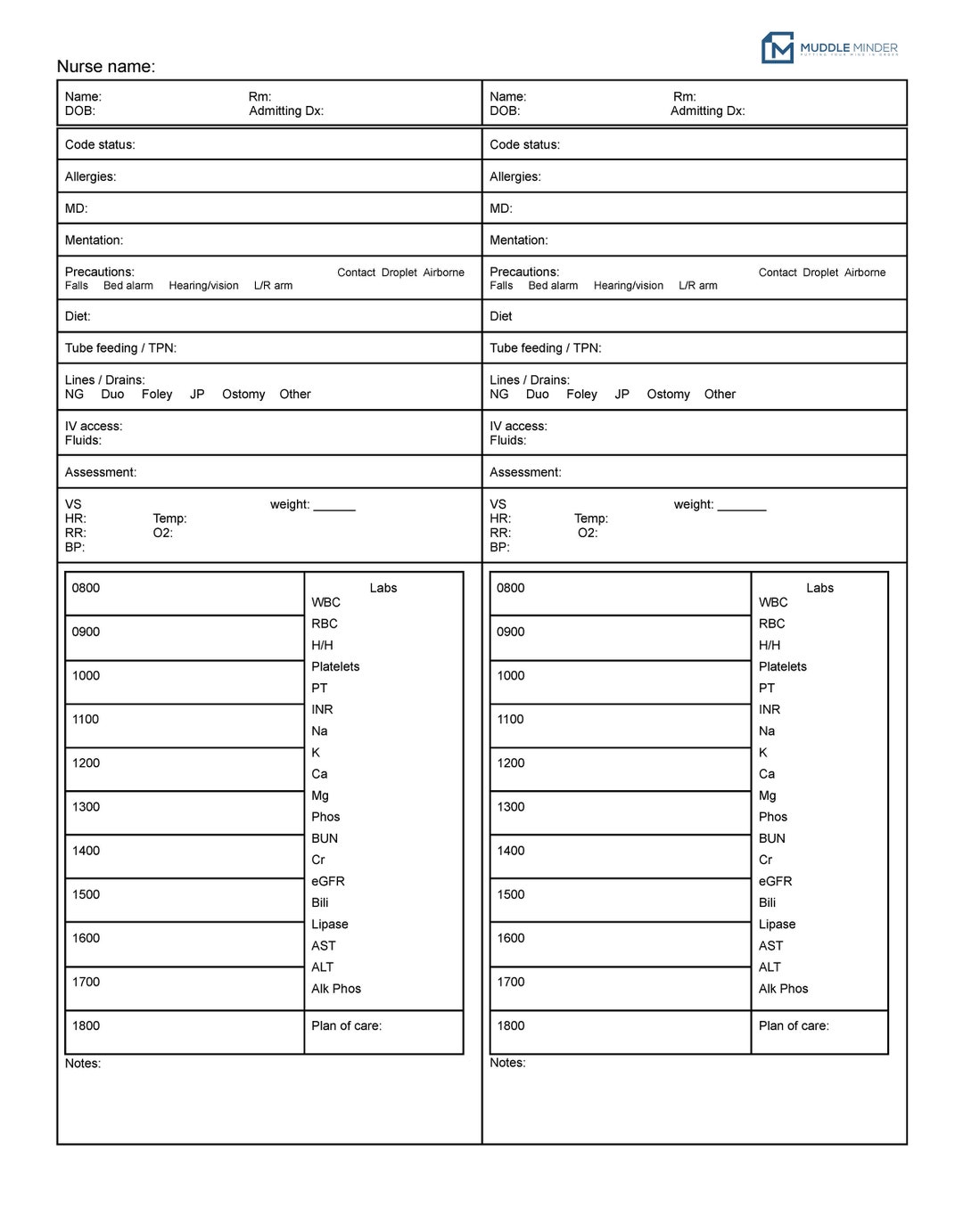 Nurse Report Sheet 2 Patient Basic - Etsy
