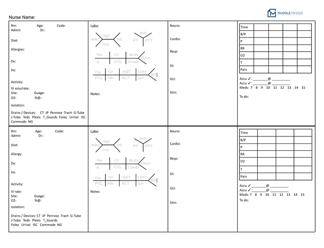 Nurse Report Sheet 2 Patient Basic - Etsy