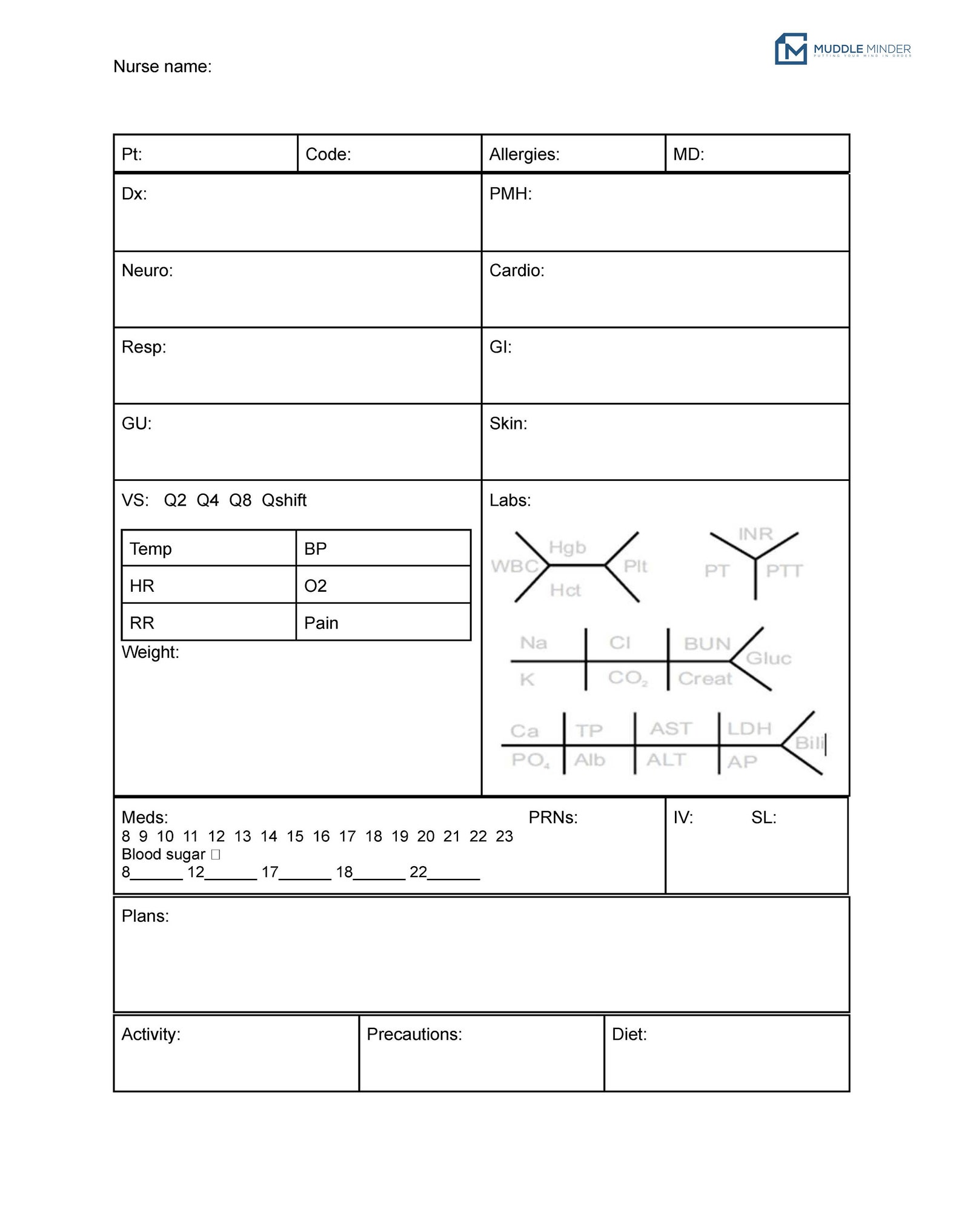 Nurse Report Sheet 1 Patient Basic - Etsy