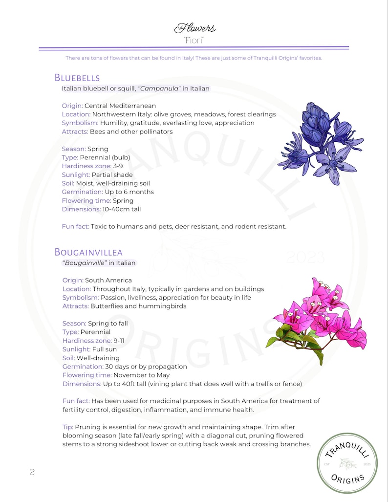 Italian Flower Garden Guide | Popular Varieties, Symbolism (digital ...