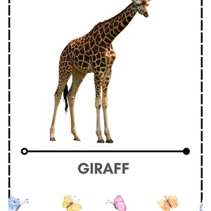 40 Wild Animals Flash Cards|nurssary Flash Card| Printable Flash Cards ...