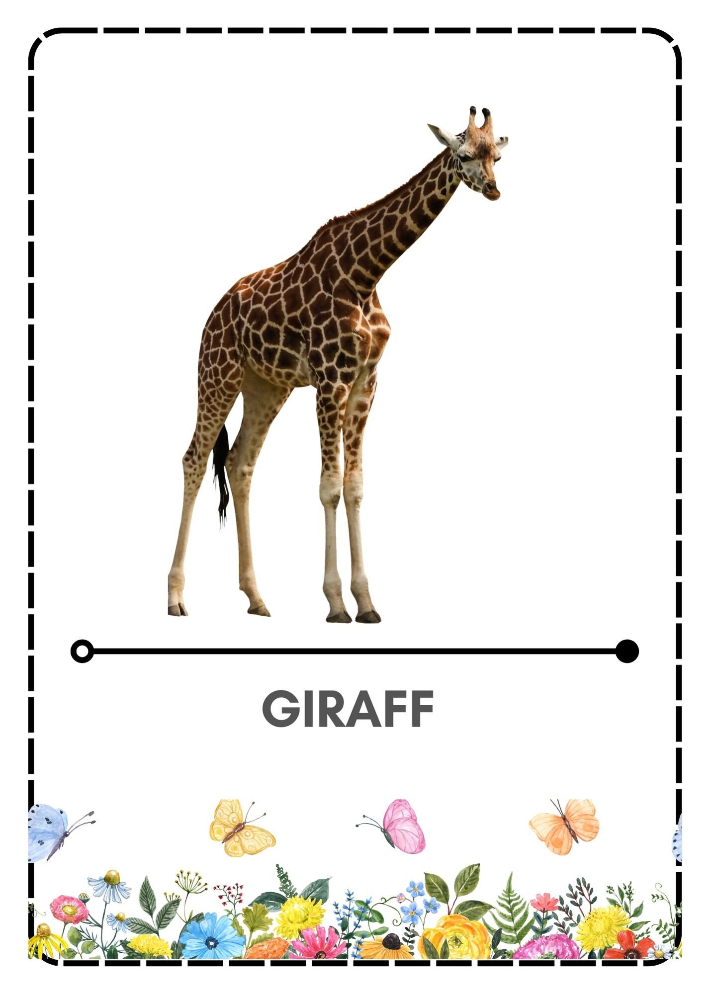 40 Wild Animals Flash Cards|nurssary Flash Card| Printable Flash Cards ...
