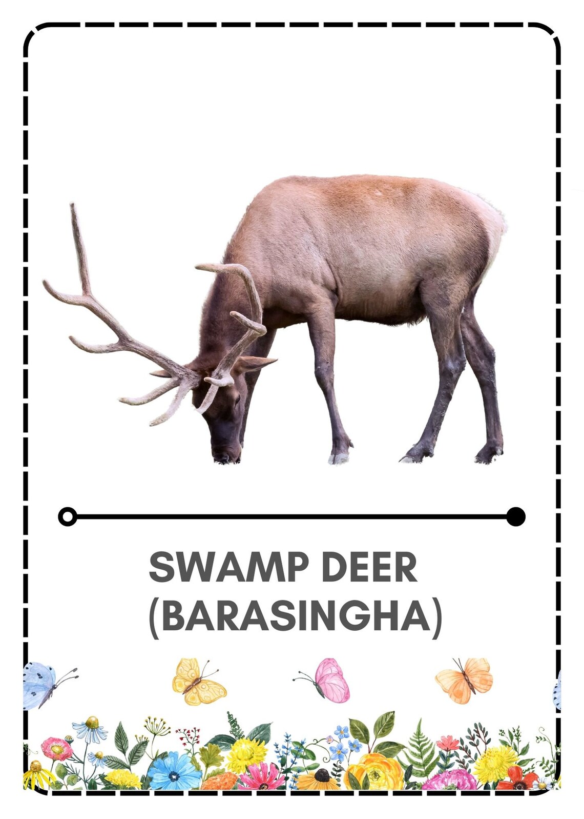 40 Wild Animals Flash Cards|nurssary Flash Card| Printable Flash Cards ...