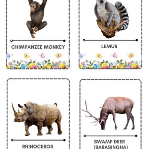 40 Wild Animals Flash Cards|nurssary Flash Card| Printable Flash Cards ...
