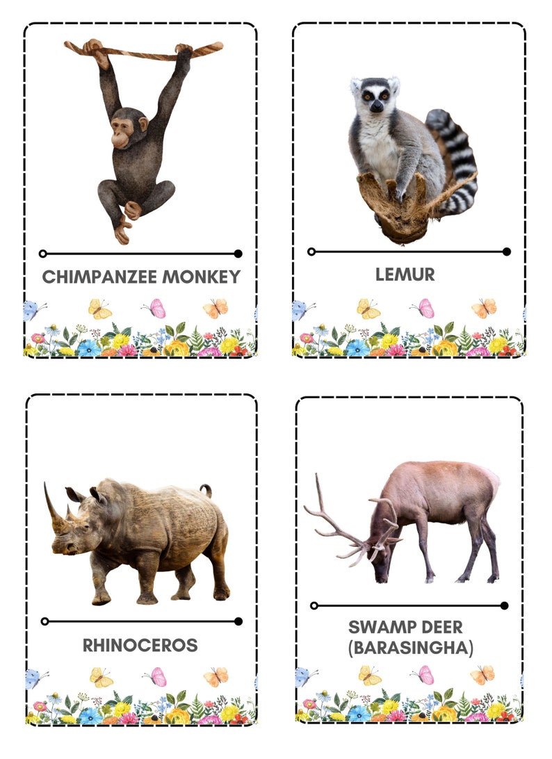 40 Wild Animals Flash Cards|nurssary Flash Card| Printable Flash Cards ...