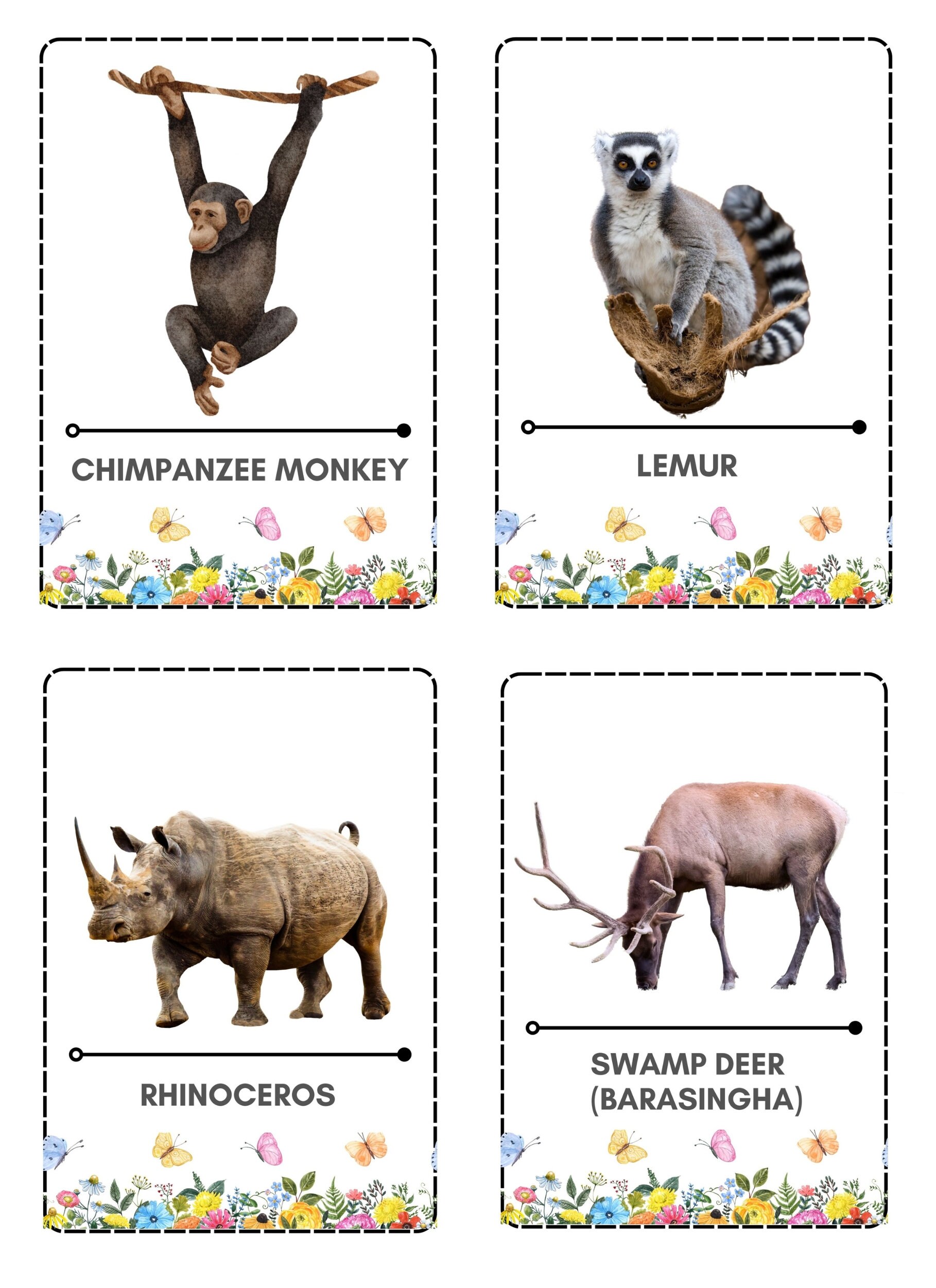 40 Wild Animals Flash Cards|nurssary Flash Card| Printable Flash Cards ...