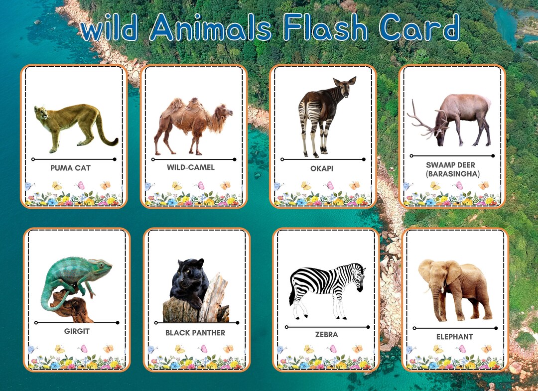 40 Wild Animals Flash Cards|nurssary Flash Card| Printable Flash Cards ...