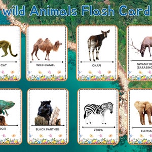 40 Wild Animals Flash Cards|nurssary Flash Card| Printable Flash Cards ...