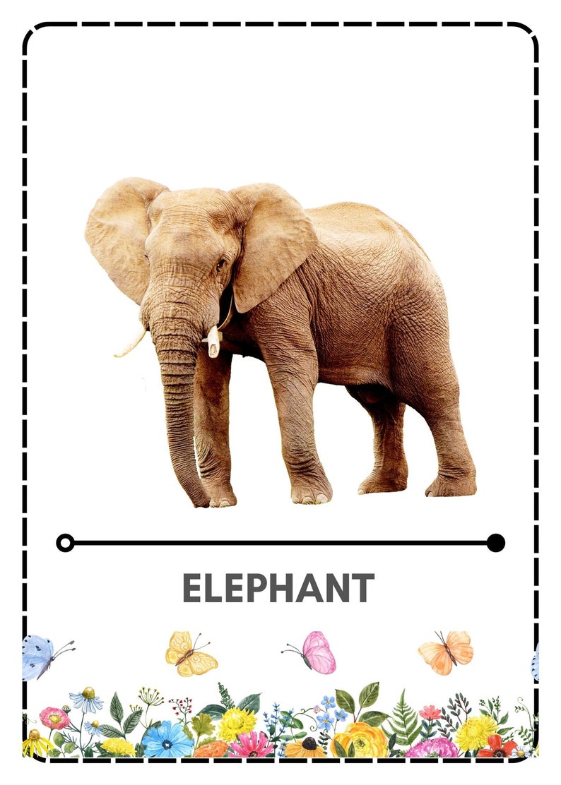 40 Wild Animals Flash Cards|nurssary Flash Card| Printable Flash Cards ...
