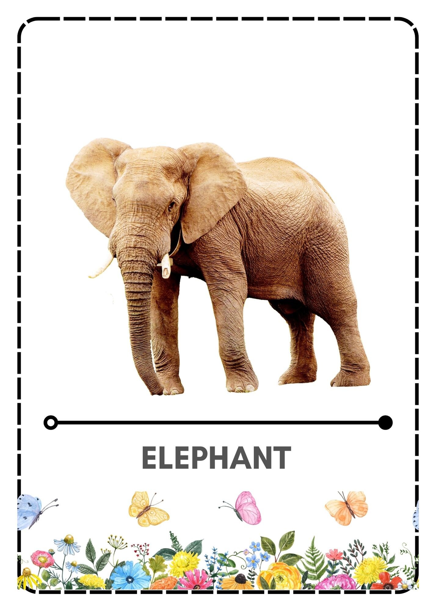 40 Wild Animals Flash Cards|nurssary Flash Card| Printable Flash Cards ...