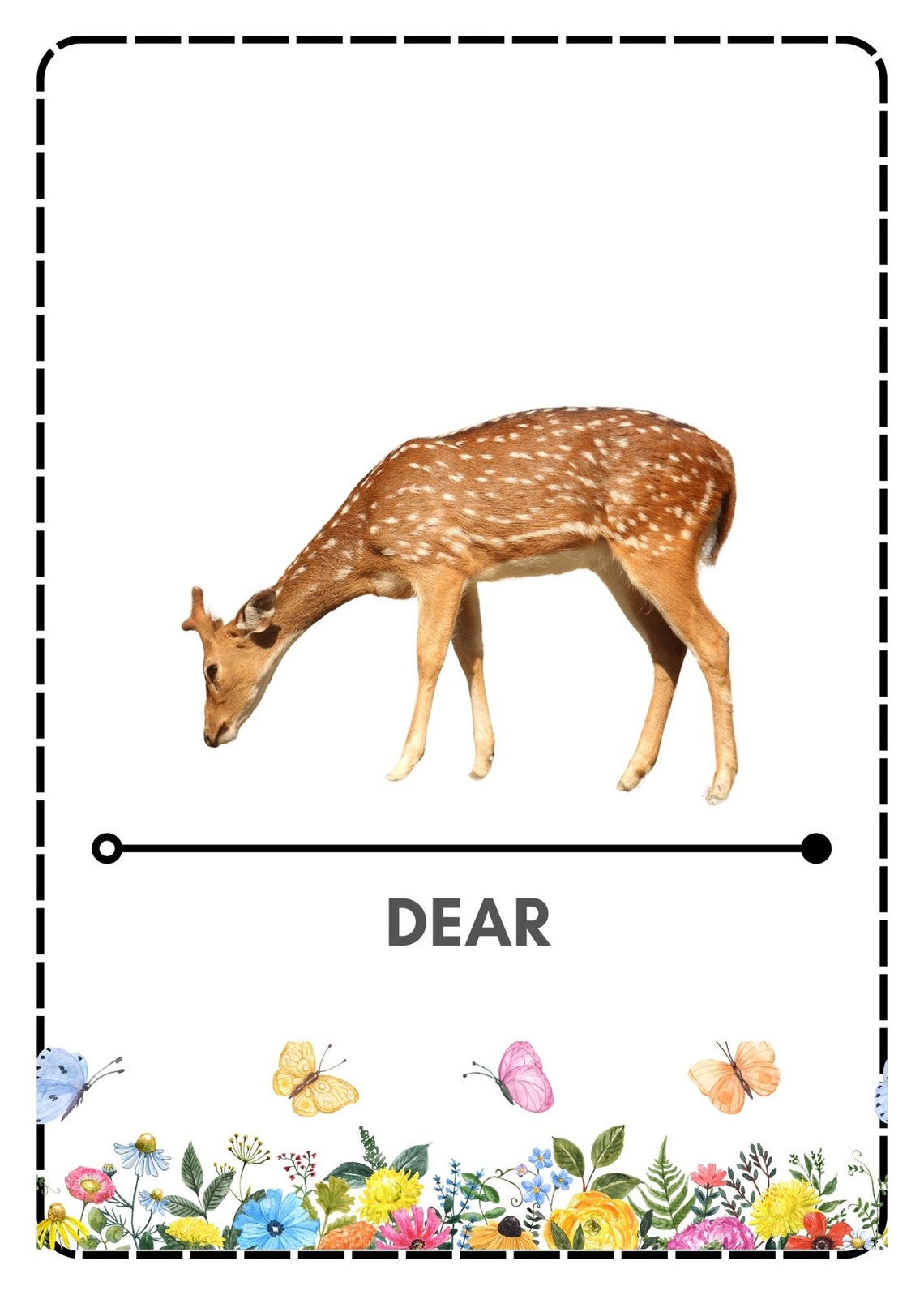 40 Wild Animals Flash Cards|nurssary Flash Card| Printable Flash Cards ...