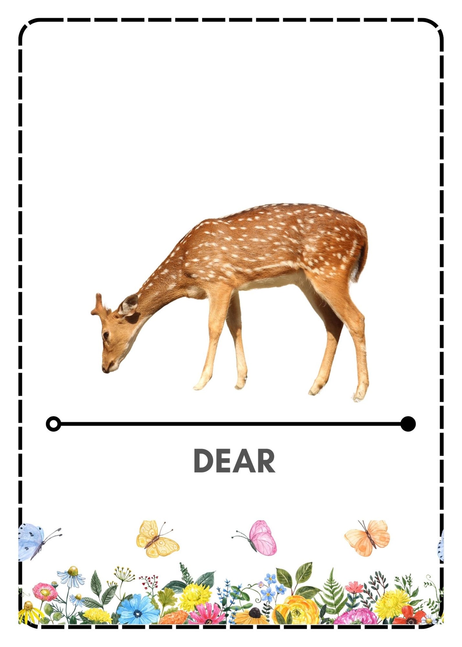 40 Wild Animals Flash Cards|nurssary Flash Card| Printable Flash Cards ...