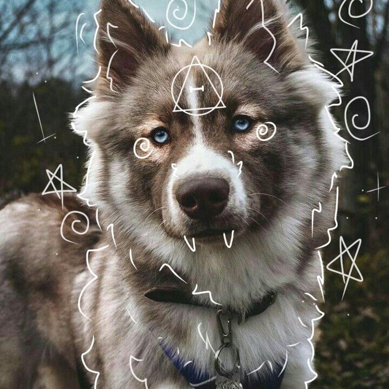 Therian Clothes - Etsy