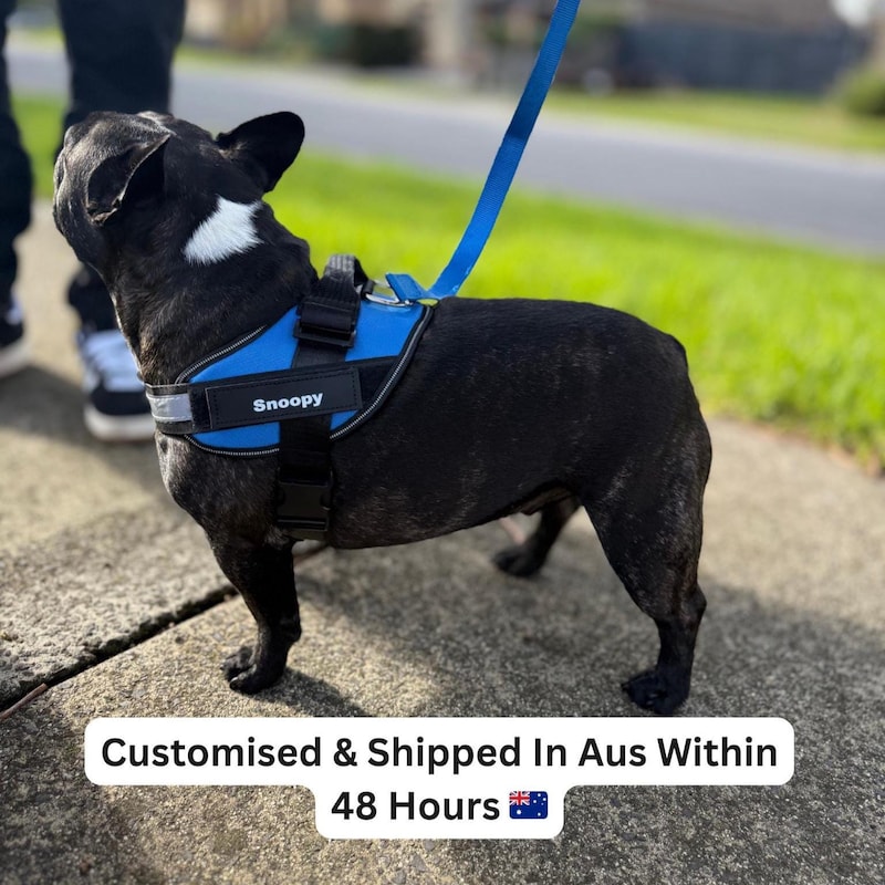 Essa dog - Etsy Polska