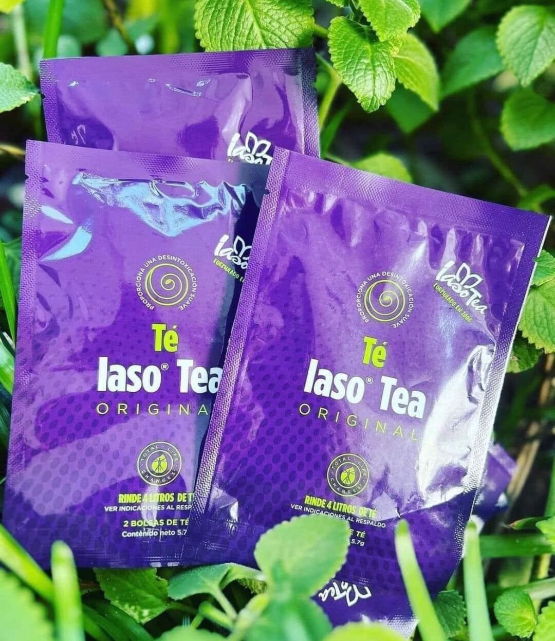 IASO TEA Original Detox Weight Loss 5 Sachets 4 Weeks Cure 1 Week Gift ...