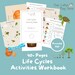 Life Cycles 40 Pages Printable Kids Activities Workbook, EYFS, 3 Years ...