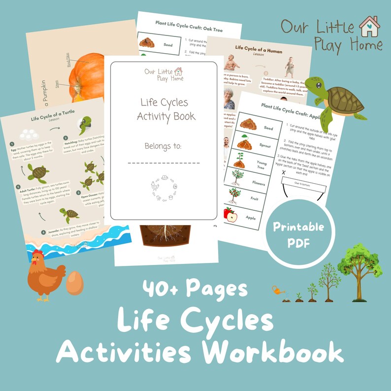 Life Cycles 40 Pages Printable Kids Activities Workbook, EYFS, 3 Years ...
